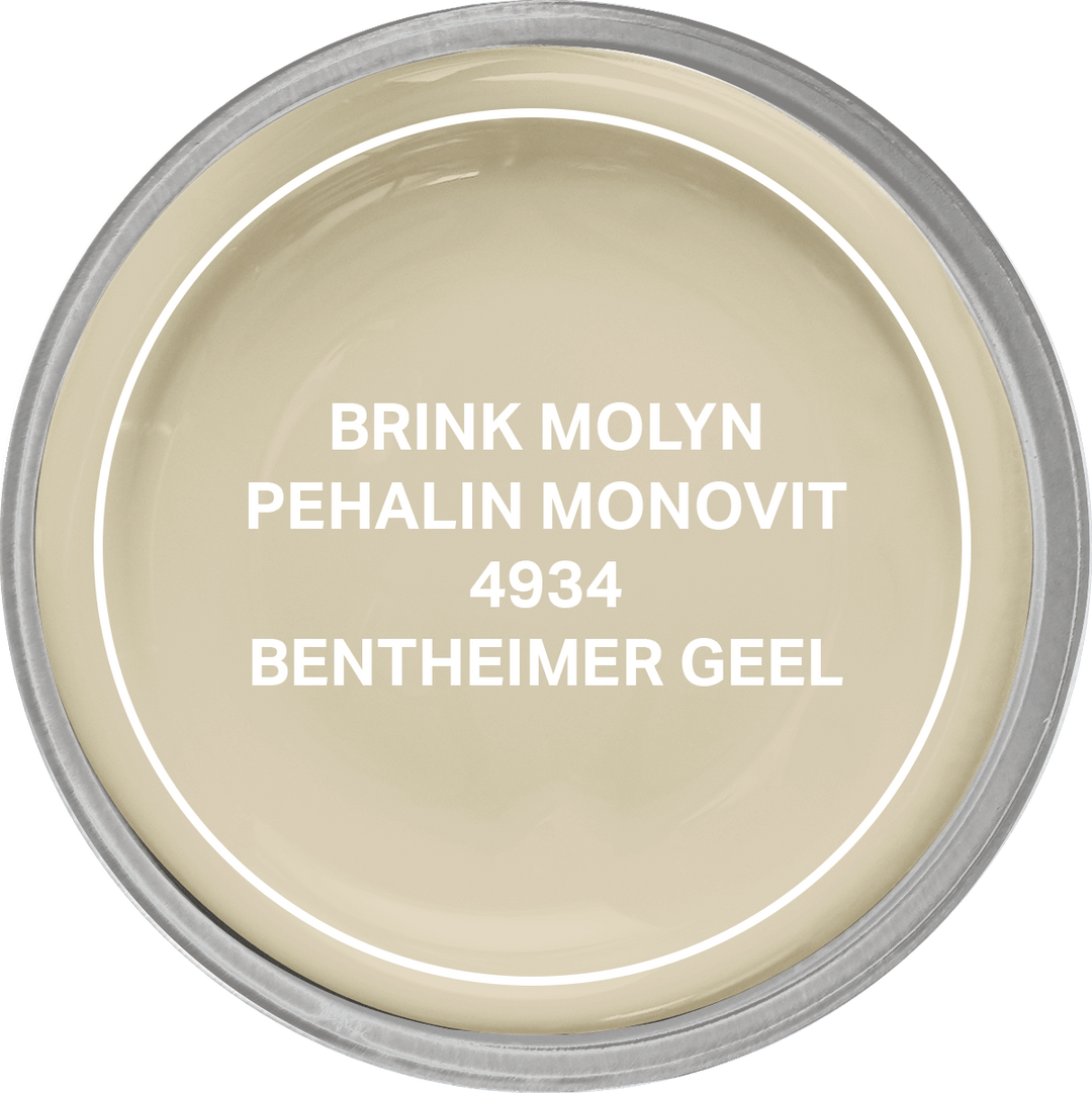 Brink Molyn Pehalin Monovit 4934 Bentheimer Geel (G0.08.84) - 1L (outl ...